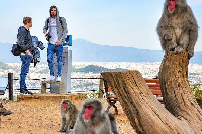 Private Day Tour - Kyoto Arashiyama & Bamboo Forest Perfect Tour! - FAQs