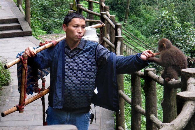 Private Day Tour: Mount Emei Tour by high-speed train from Chengdu - Practical Insights and Considerations