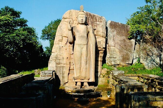 Private Day Tour Of Anuradhapura Ancient Kingdom and Avukana - The Itinerary in Detail: What Makes the Tour Special