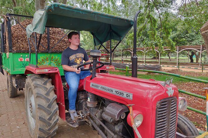 Private Day Tour of Bylakuppe Tibetan Monastery from Mysore - FAQ