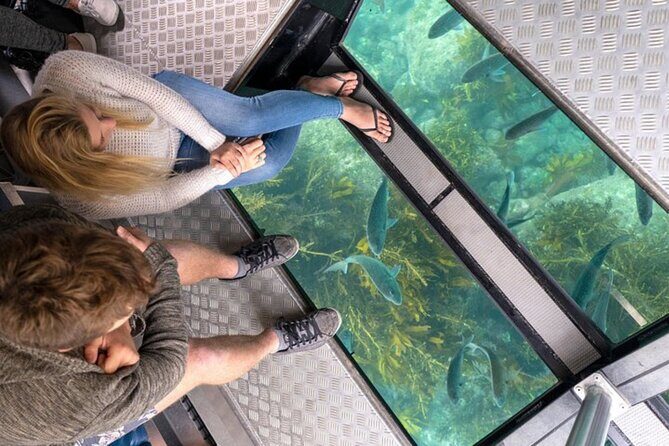 Private Day Tour of Cathedral Cove, Zipline and Glass Bottom Boat - Who Should Consider This Tour?