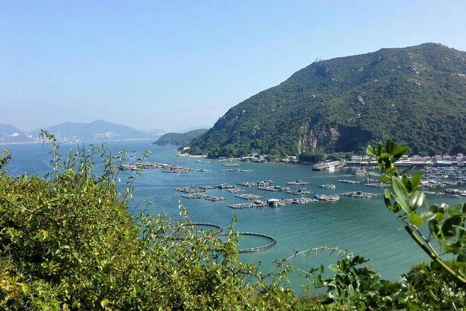 Private Day Tour Of Hong Kong: Lamma Island Including Transfer - Practical Details: What You Should Know