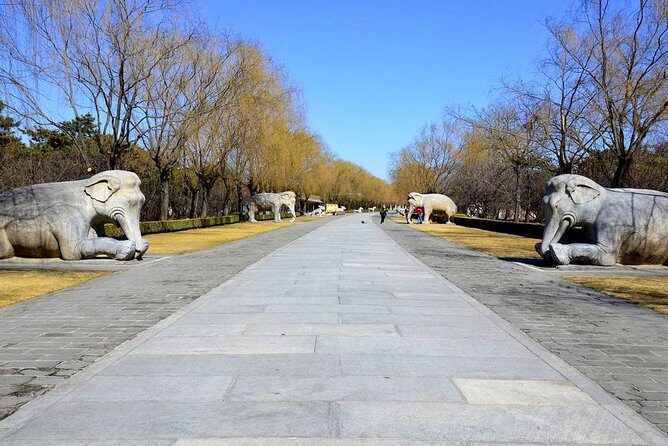 Private Day Tour of Juyongguan Great Wall and Sacred Way from Beijing - Authentic Experiences and Genuine Impressions