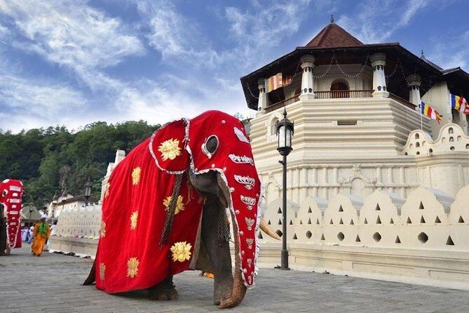 Private Day Tour Of Kandy From Galle and Bentota - What the Tour Offers: A Closer Look