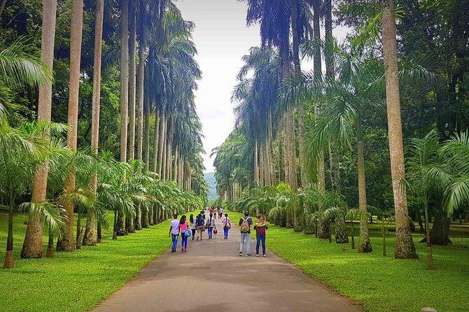 Private Day Tour Of Kandy From Galle and Bentota - Final Thoughts: Who Will Benefit?