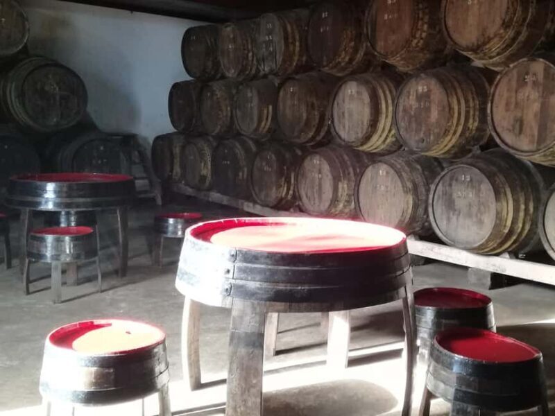 Private day tour of Olive Oil , Salt Flats and Winery - Exploring Portugals Flavors: Private Day Tour of Olive Oil, Salt Flats, and Winery