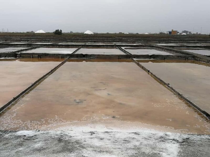 Private day tour of Olive Oil , Salt Flats and Winery - A Practical Dive into the Tour