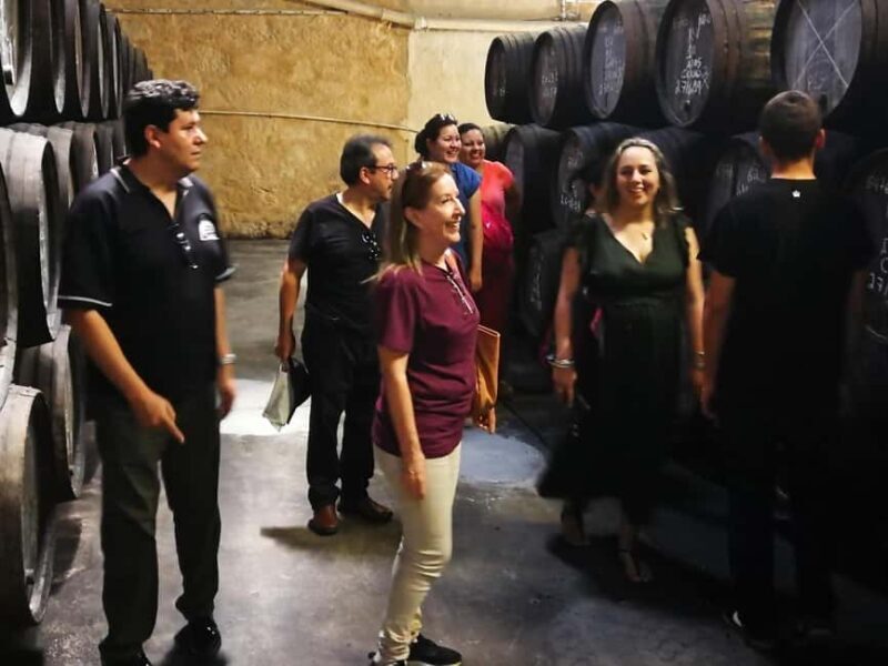 Private day tour of Olive Oil , Salt Flats and Winery - Who Will Love This Tour?