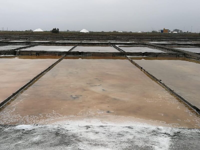 Private day tour of Olive Oil , Salt Flats and Winery - Introduction: Authentic Flavors and Natural Beauty