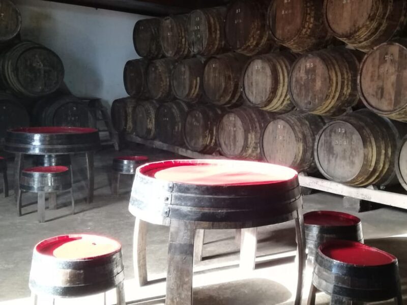 Private day tour of Olive Oil , Salt Flats and Winery - Detailed Breakdown: Why This Tour Offers Real Value