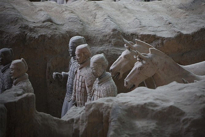 Private Day Tour of Terracotta Warriors and Xi'an City - An In-Depth Look at the Experience