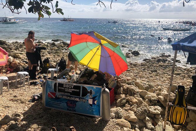 Private Day Tour: Oslob Whaleshark+Tumalog Falls(Sumilon Island) - Transport and Logistics: Comfort and Convenience