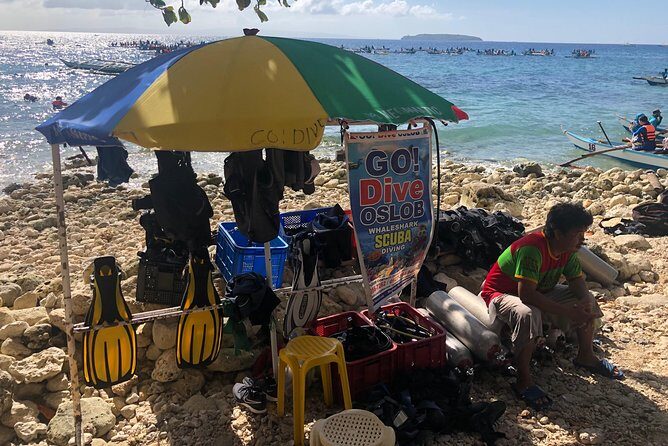 Private Day Tour: Oslob Whaleshark+Tumalog Falls(Sumilon Island) - Value for Money: Does the Price Match the Experience?