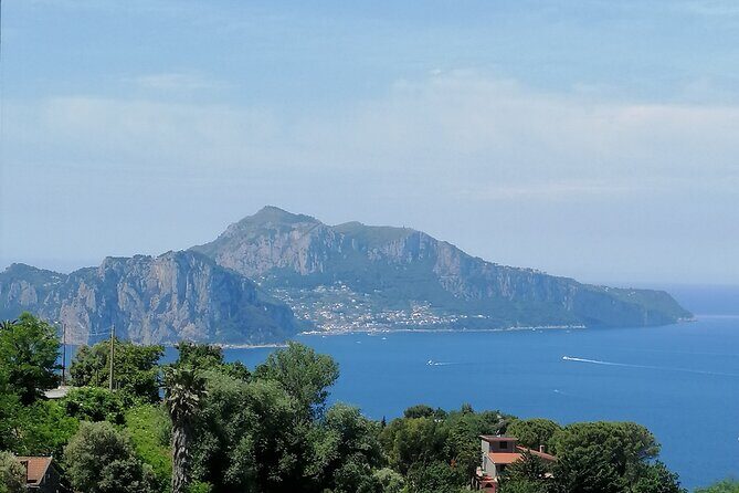 Private day tour: Pompei,Vesuvius and Herculaneum. - FAQ