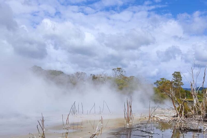 Private Day Tour - Rotorua, Kiwi Hatchery & Mori Culture - Authentic Experiences That Leave a Lasting Impression
