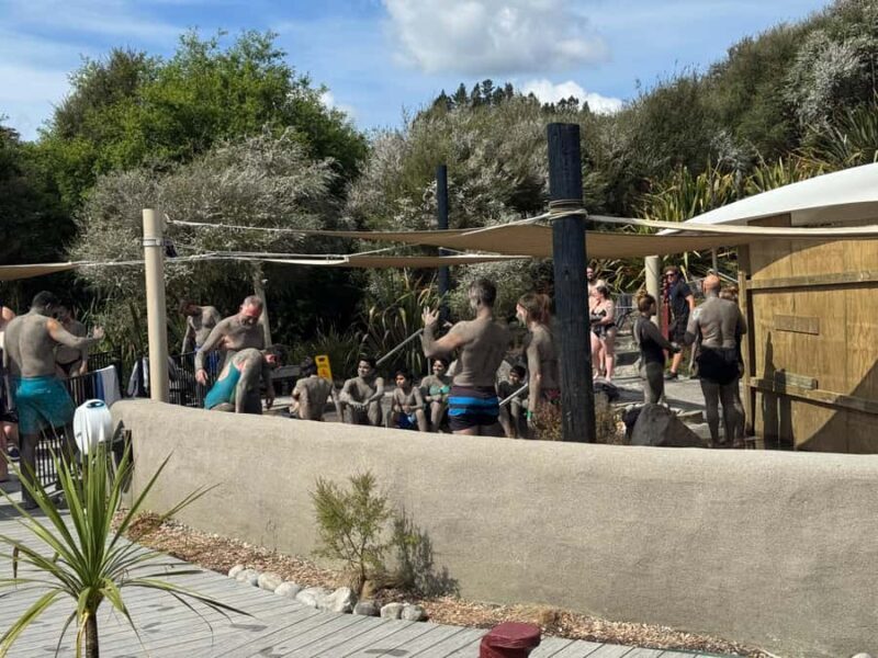 Private Day Tour - Rotorua, Kiwi Hatchery & Mori Culture - Final Thoughts