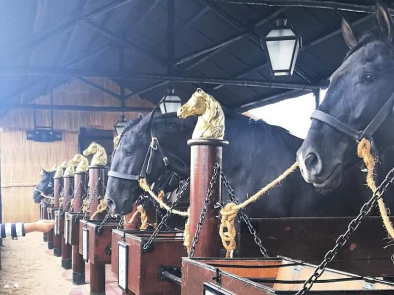 Private Day Tour Tagus River, olive oil, winery and horses - The Sum Up
