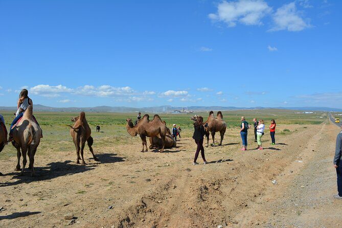 Private Day Tour: Terelj National Park + Genghis Khan's Statue .. - Summary and Who This Tour Is Best For