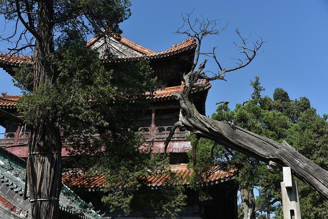 Private Day Tour to Confucius Home Town Qufu By Bullet Train from Beijing - Frequently Asked Questions