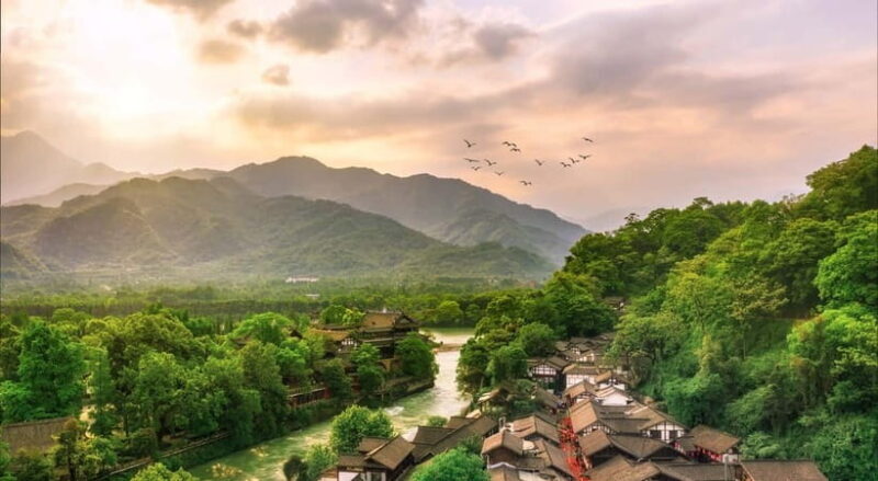 Private Day Tour to Dujiangyan & Mount Qingcheng - Who Should Consider This Tour?