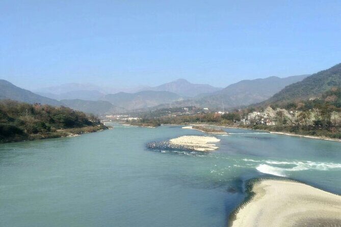 Private Day Tour to Dujiangyan Panda Base & Dam from Chengdu - Authenticity and Insights from Reviews