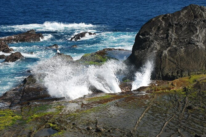 Private Day Tour to East Coast  Jade Picking from Hualien - A Deeper Dive into the Experience