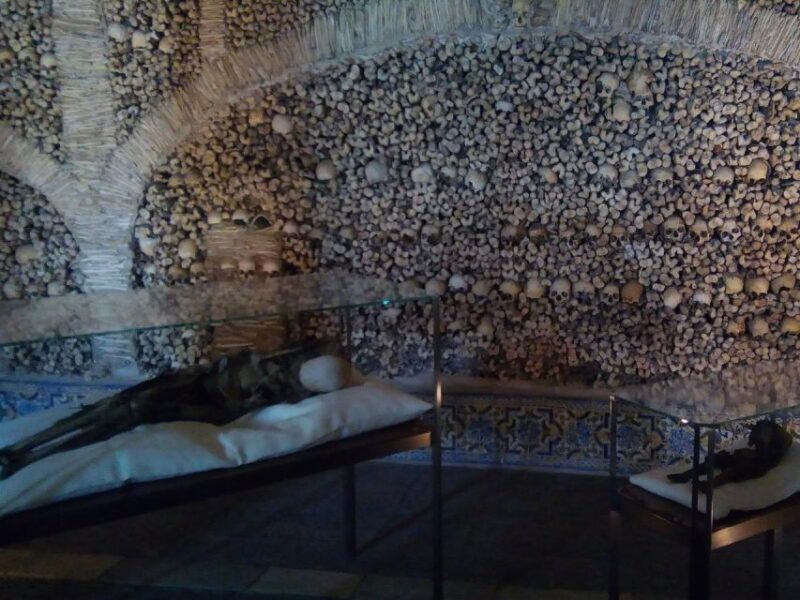 Private day tour to Évora: cork, factory, winery & the city - Key Points