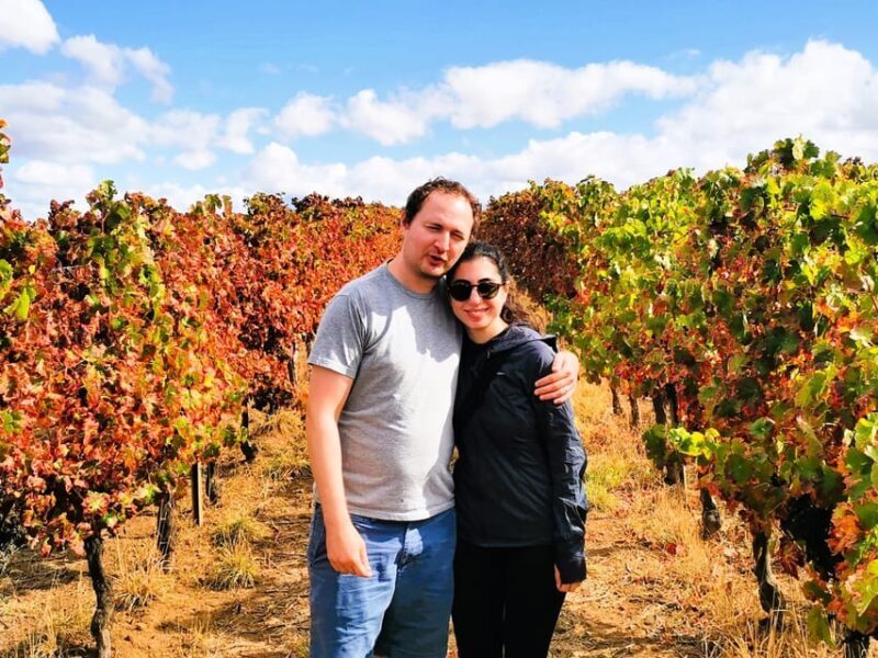 Private day tour to Évora: cork, factory, winery & the city - The Sum Up