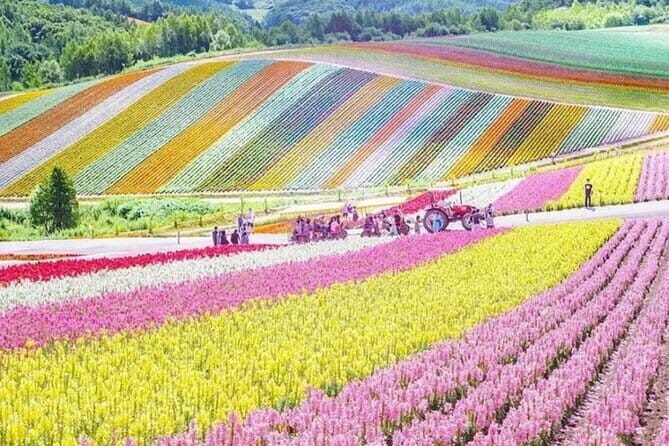 Private Day Tour to Hokkaido Noboribetsu and Lake Toya by Car - Who Is This Tour Best For?