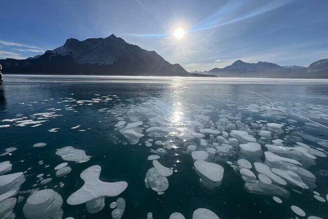 Private Day Tour to Icefield Parkway and Abraham Lake - Key Points
