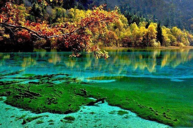 Private Day Tour to Jiuzhaigou Park by Bullet Train from Chengdu - Final Thoughts: Who Should Consider This Tour?