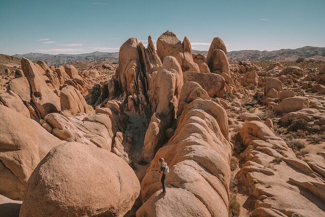 Private Day Tour to Joshua Tree National Park from San Diego - What Makes This Tour Stand Out