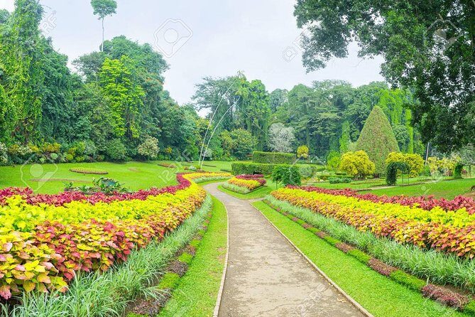 Private Day Tour To Kandy From Kaluthara - Why This Tour Offers Good Value