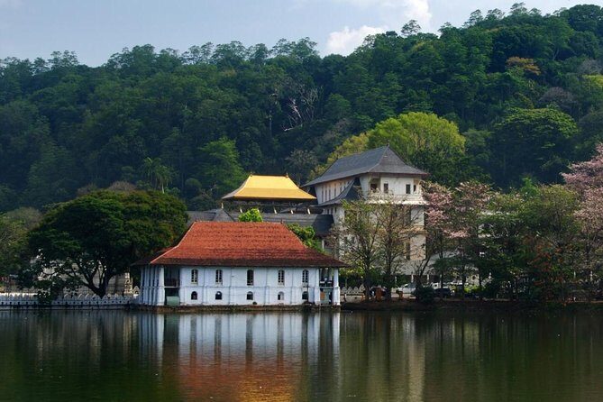 Private Day Tour To Kandy From Wadduwa - Why Choose a Private Day Tour to Kandy?