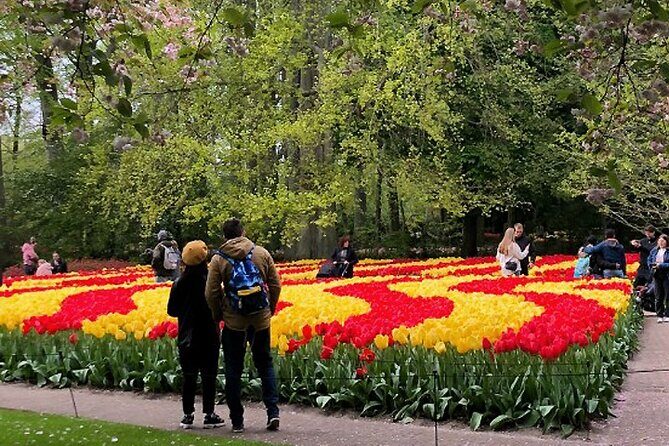 Private Day Tour to Keukenhof Gardens - from Amsterdam/Rotterdam - The Itinerary in Detail: How Your Day Unfolds