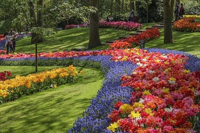 Private Day Tour to Keukenhof Gardens - from Amsterdam/Rotterdam - Who Will Appreciate This Tour?