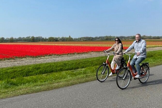 Private Day Tour to Keukenhof Gardens - from Amsterdam/Rotterdam - Practical Details and Tips