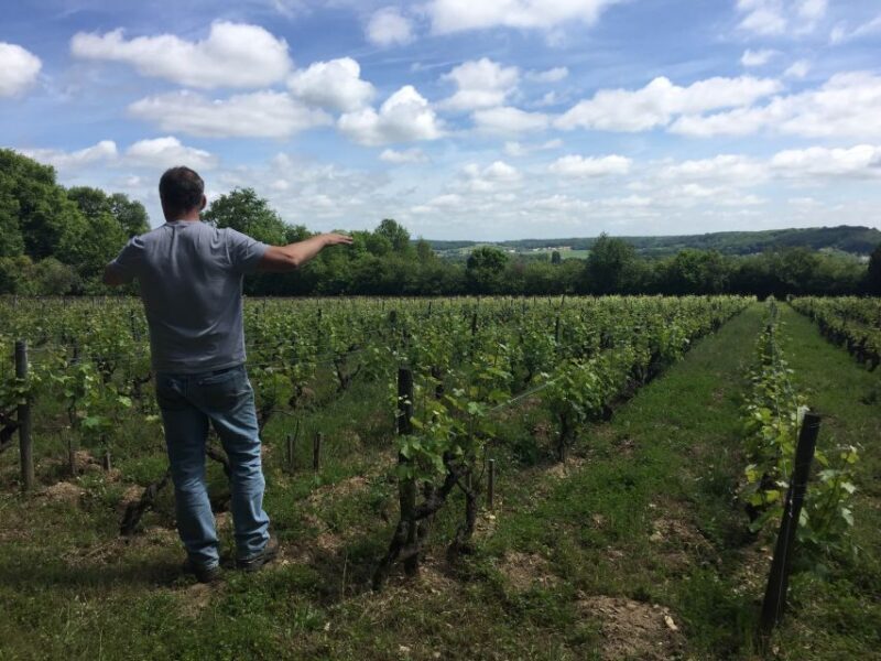 Private Day Tour to Loire Valley Castles & Wines from Paris - Final Thoughts