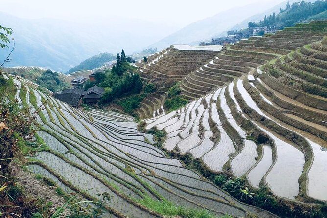 Private Day Tour to Longji Rice Terraces from Yangshuo - A Near-Complete Guide to the Longji Rice Terraces Tour