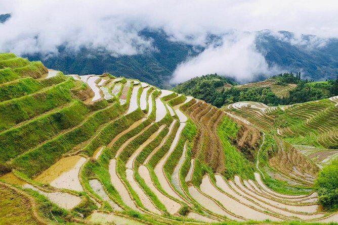 Private Day Tour to Longji Rice Terraces from Yangshuo - Potential Considerations