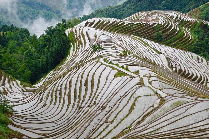 Private Day Tour to Longji Rice Terraces from Yangshuo - Final Thoughts: Is This Tour for You?