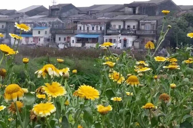 Private Day Tour to Meijia Countyard & Taishan from Guangzhou - Discovering Taishan: A Private Day Tour from Guangzhou