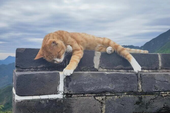 Private Day Tour to Mutianyu Great Wall with English Driver - The Sum Up: Who Will Love This Tour?