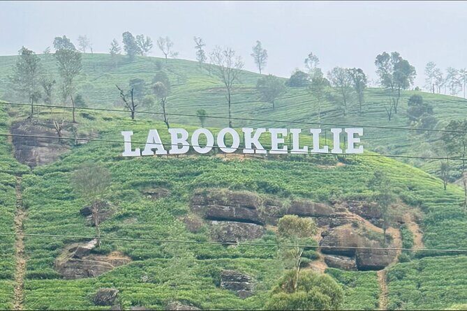 Private Day Tour to Nuwara Eliya Pickup from Kandy - Discovering the Highlights of the Tour