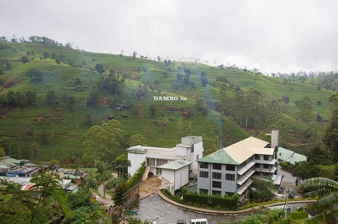 Private Day Tour to Nuwara Eliya Pickup from Kandy - FAQ