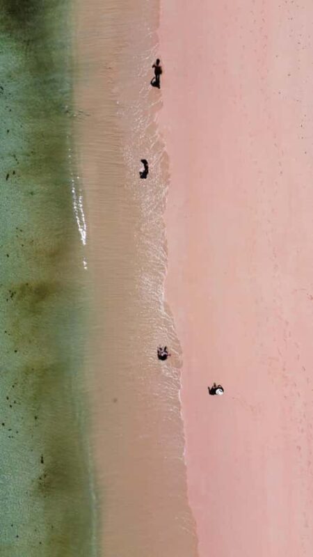 Private day tour to pink beach-sand island-gili petelu - Key Points