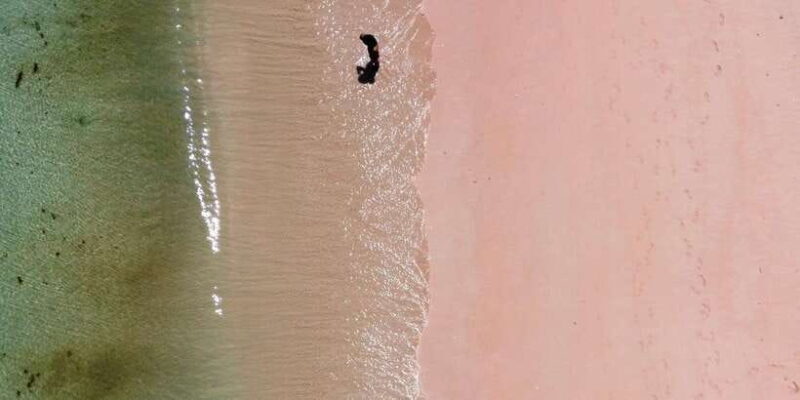 Private day tour to pink beach-sand island-gili petelu - Final Thoughts