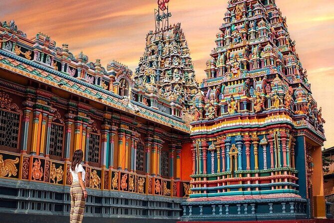 Private Day Tour to Polonnaruwa with Driver from Negombo - Analyzing the Experience: Pros and Cons