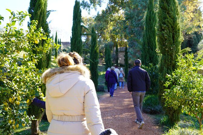Private day Tour to Ronda from Malaga by ELECTRIC CAR - What’s Included and What’s Not