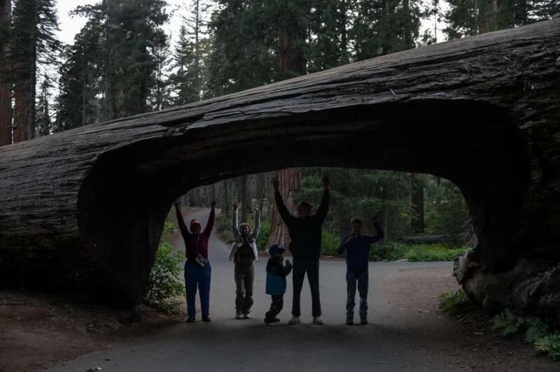 Private Day Tour to Sequoia and Kings Canyon Parks From LA - The Value of This Tour